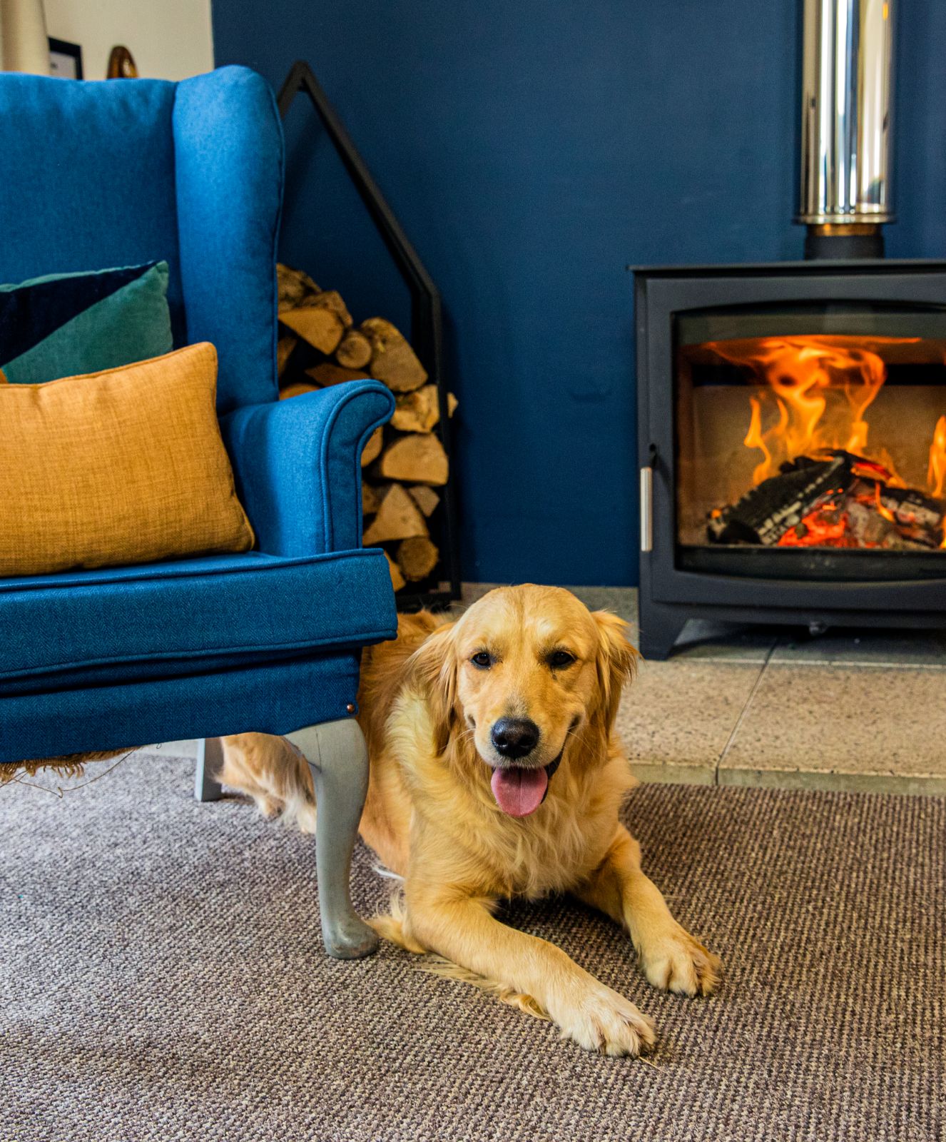 Dog Friendly Holiday Cottage - North Lake Chapel - Devon